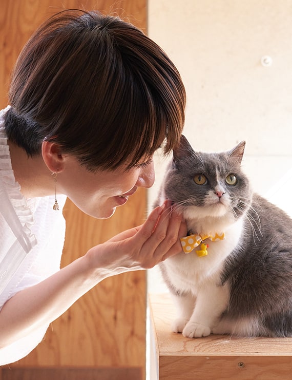 Feline Antinol® Veterinary Technical Bulletin – Vetz Petz