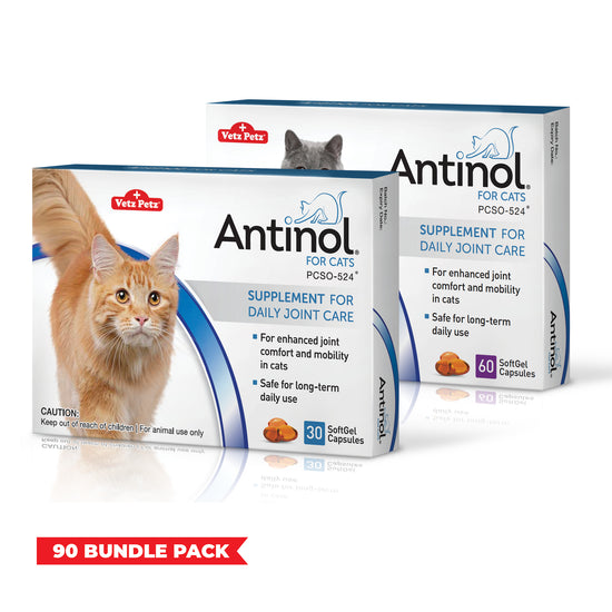 Antinol®️ for Cats – Vetz Petz Antinol US